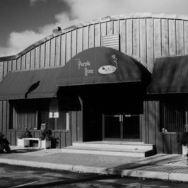 About - The Purple Rose Theatre Company