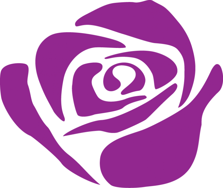 About - The Purple Rose Theatre Company